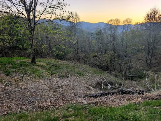 TBD Daisy Ridge #20 Road