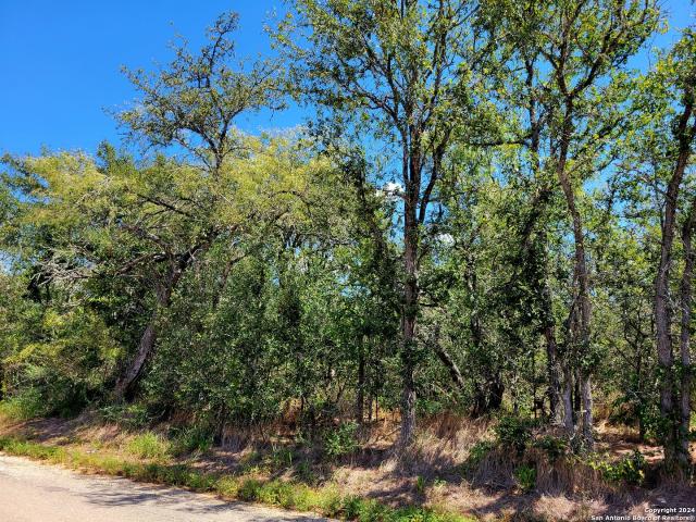 Tbd Dale Ln, Dale, TX 78616 | MLS #1805 | Compass