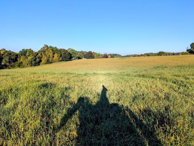 TBD Daniels Run Rd