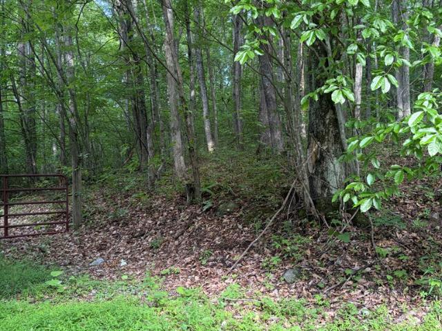 TBD Dark Hollow Road