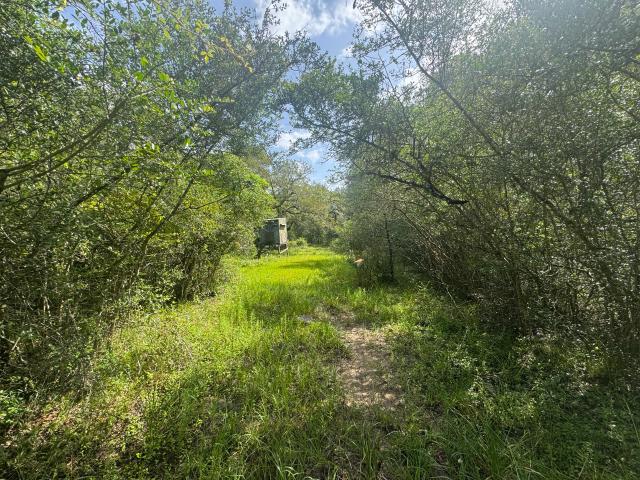TBD Dewberry Lane