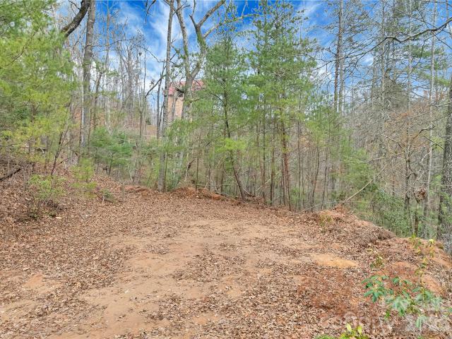 TBD Deep Woods Lane # 102