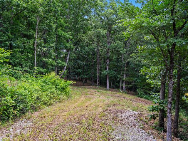 Tbd Deer Mountain Road