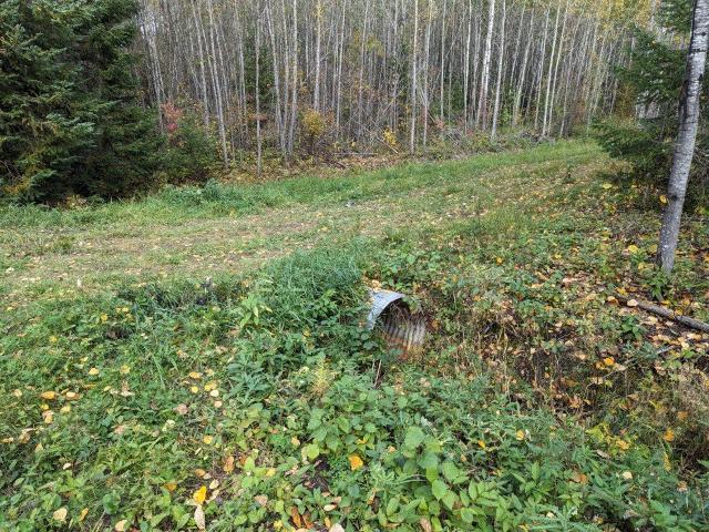 TBD Deer River Line