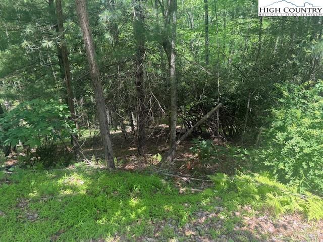 TBD Deerwood Road 58