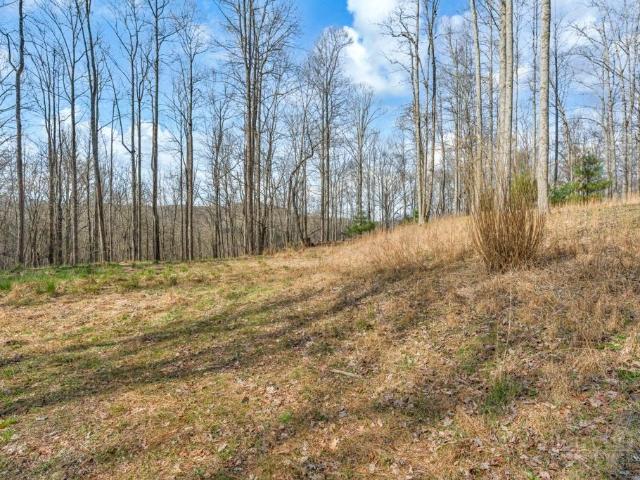 TBD Denney Wood Road