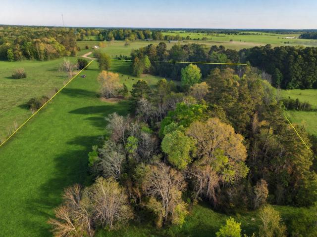 Tbd Denson Allen Rd, Coldspring, TX 77331 | MLS #2844