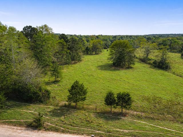 TBD Denson Allen Road