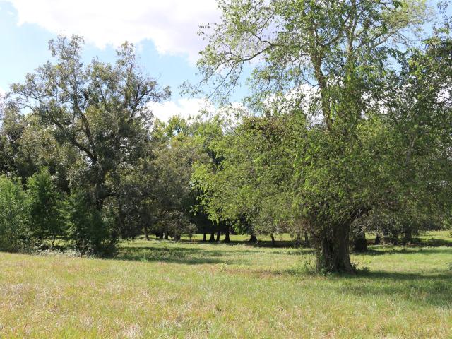 TBD Derby Lane