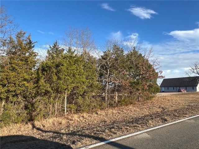 Diamond Blvd Lot 40, Diamond City, AR 72630