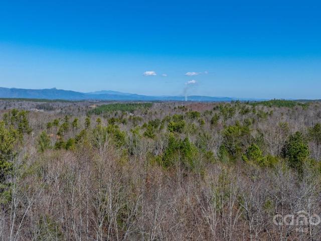 Tbd Dirksen Ave, Unit 60, Nebo, NC 28761 | MLS #4225