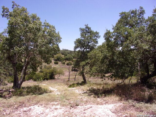 TBD E Twisted Oak Trail