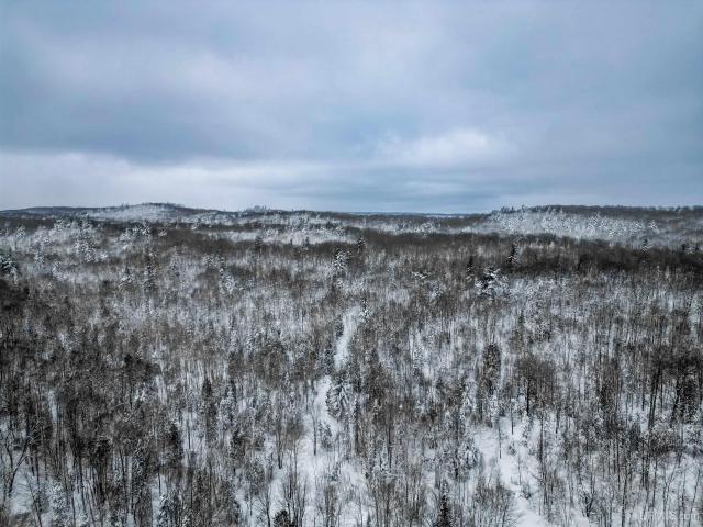 TBD E Wilderness Road