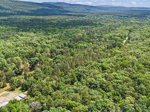 TBD E Cedar Piney Road