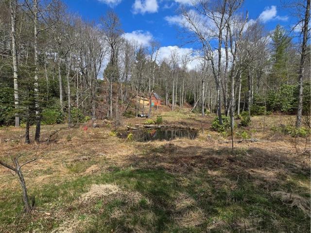 TBD E Laurel Springs Drive