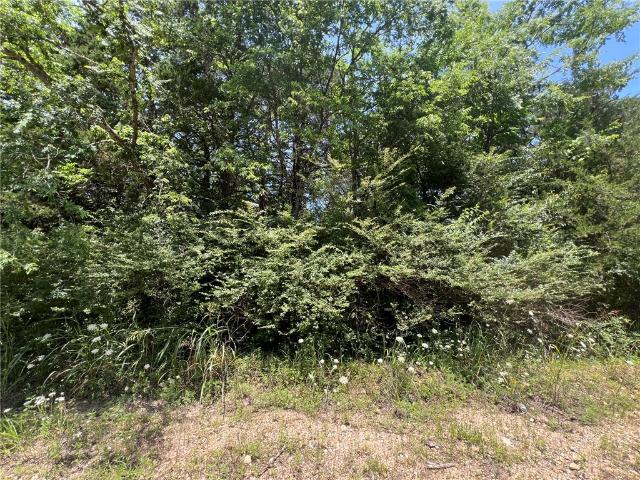 TBD E Mockingbird Trail