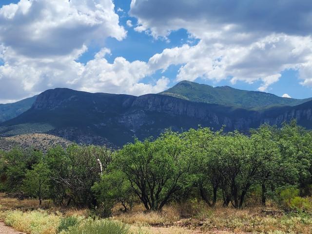 Tbd E Ramsey Canyon Rd, Lot D, Hereford, AZ 85615 | MLS #6992 | Compass