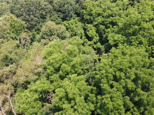 Tbd England Rd, Canton, NC 28716 | MLS #3765 | Compass