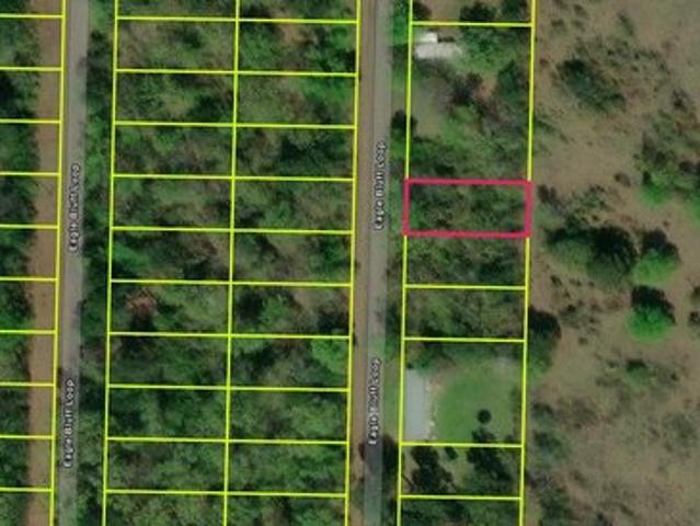 Tbd Eagle Bluff Loop Lot 386, Avinger, TX 75630