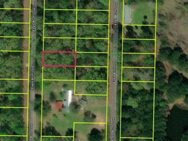 Tbd Eagle Bluff Loop Lot 527, Avinger, TX 75630