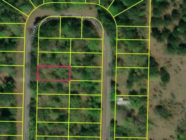 Tbd Eagle Bluff Loop Lot 539, Avinger, TX 75630