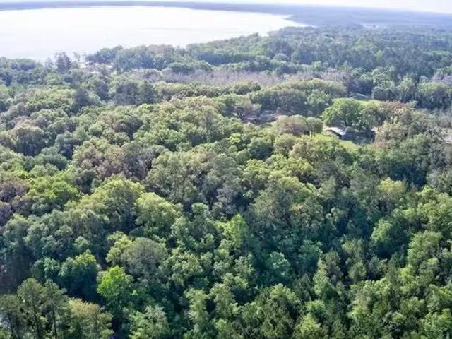 Tbd, Earleton, FL 32631 MLS GC520527