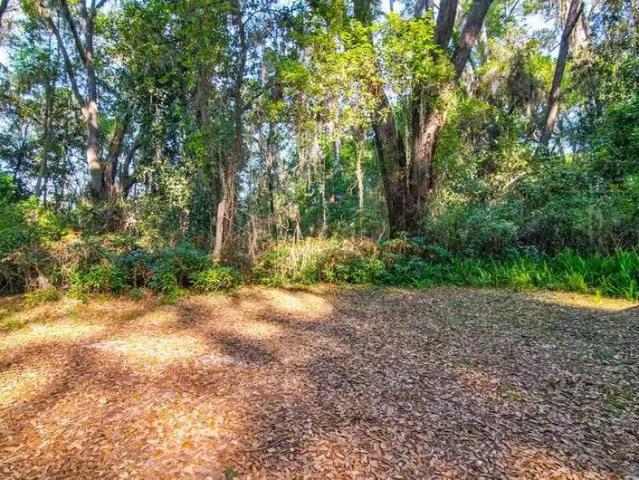 Tbd, Earleton, FL 32631 MLS GC520528