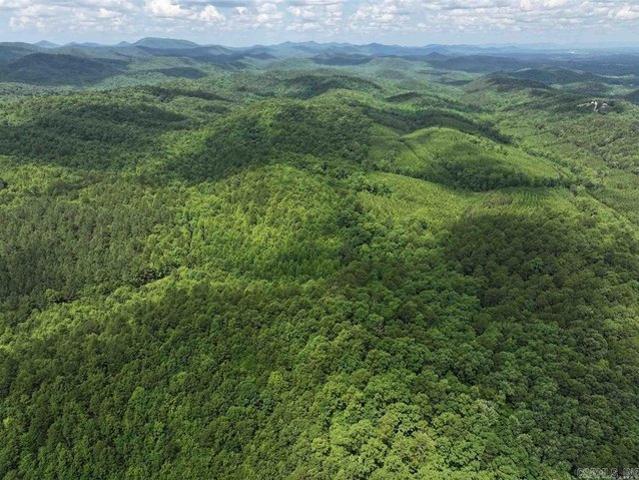 Tbd Easement Polk Rd # 61, Mena, AR 71953