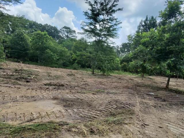 TBD Easement Road off Polk Road 31
