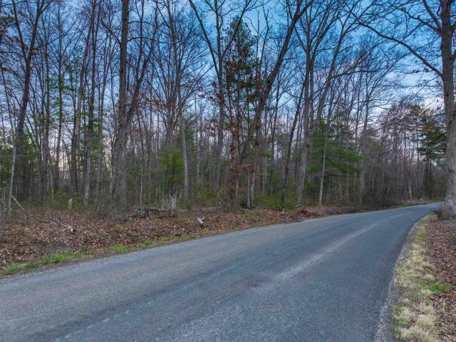 Tbd east branch loop