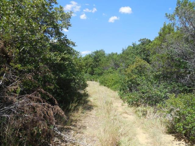 TBD East Loop 254