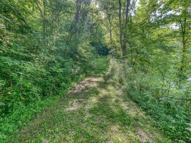Tbd East Of Fire Tower Road