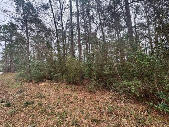 Tbd Eastwood Ave, Coldspring, TX 77331 | MLS #92934 | Compass