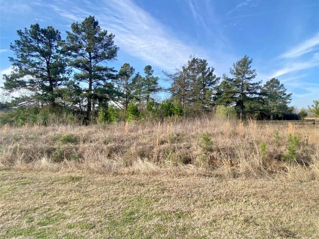 Tbd Edmiston Dr, Crockett, TX 75835 | MLS #94374 | Compass