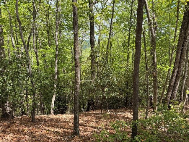 TBD Elk Ridge Road
