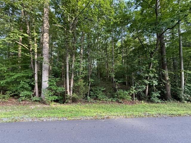 Tbd ellis dr