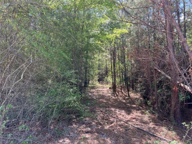 TBD Ellwood Dr