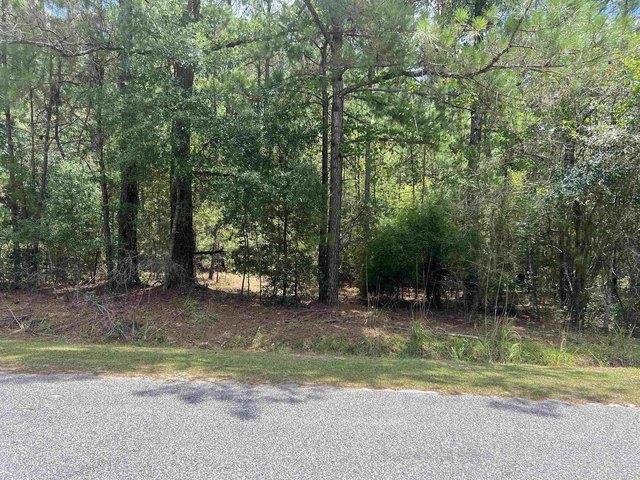 Tbd Ervin Road Ervin Rd, Andrews, SC 29510