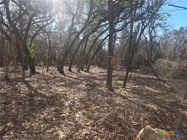 Tbd Estate Trail, Belton, TX 76513 | MLS #608879