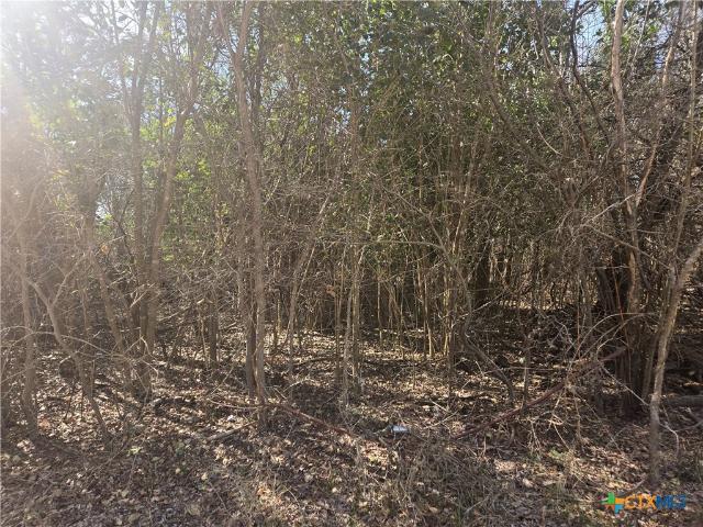 TBD Estate Trail