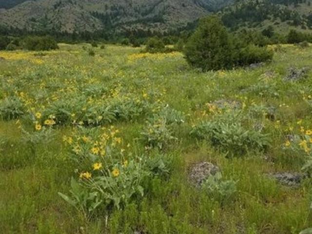 Tbd Evan Reese Creek Rd Lot 19, Belgrade, MT 59714