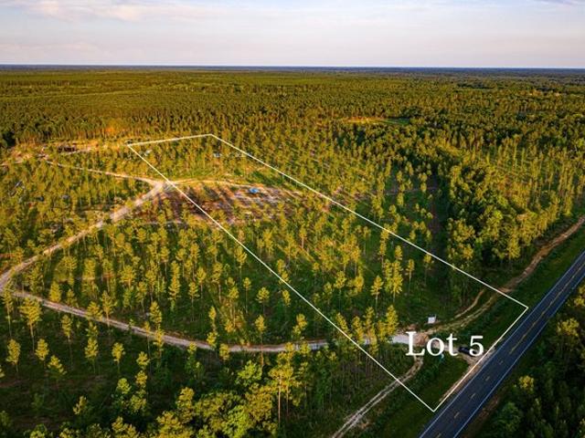 Tbd Fm 1276 Lot 5, Livingston, TX 77351