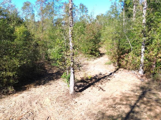 TBD FM 1280 East