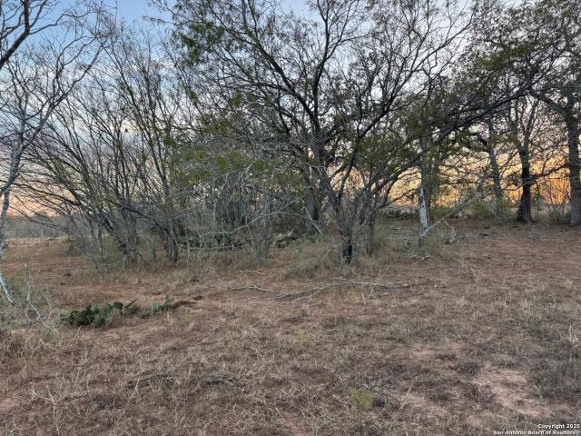 Tbd Fm 1681 tract 3, Stockdale, TX 78160 | MLS #1857