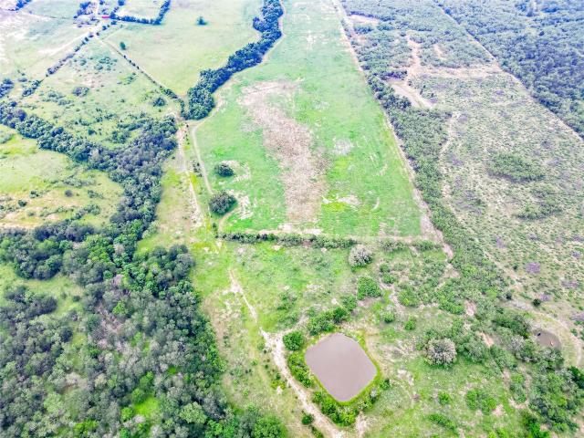 TBD FM 1854 Highway
