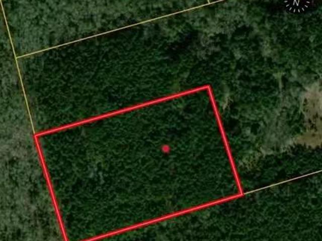 TBD FM 245 N, Oakwood, TX 75855