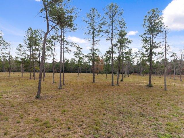 Tbd Fm 3152 Rd Lot 4, Livingston, TX 77351