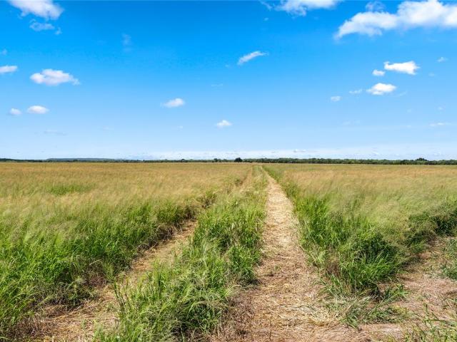TBD Fm 604 Road