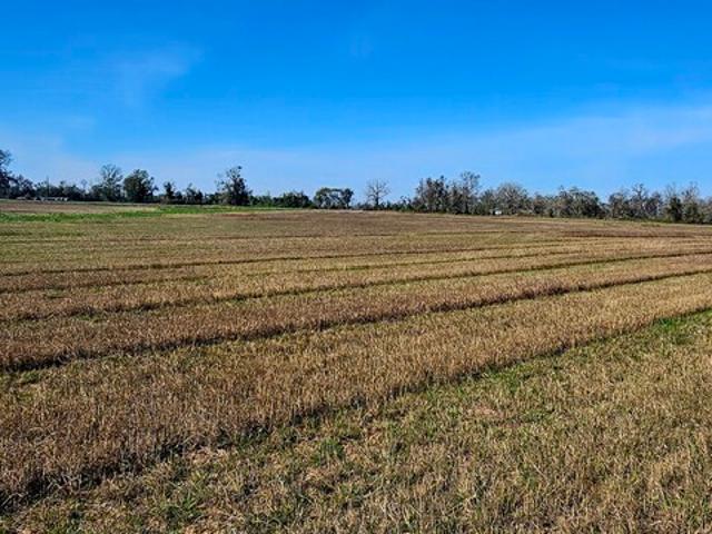 TBD Fm 640 Tract 1