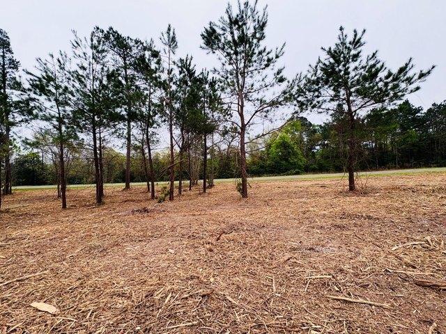 Tbd Fm 711, Center, TX 75935